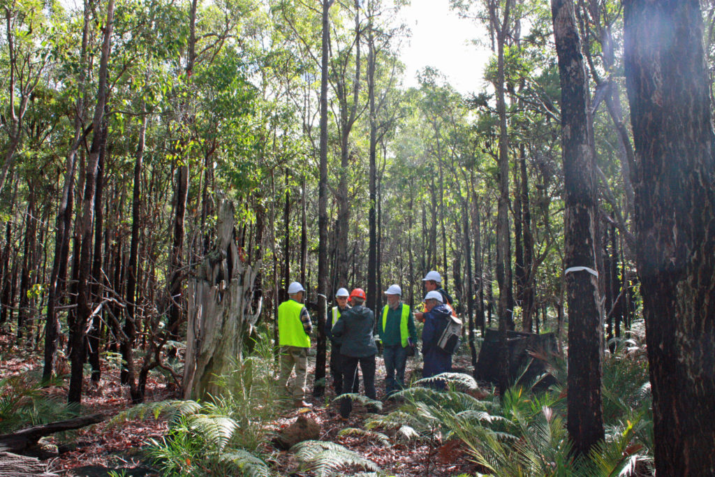 SW Timber Hub - Bunbury Geographe Economic Alliance